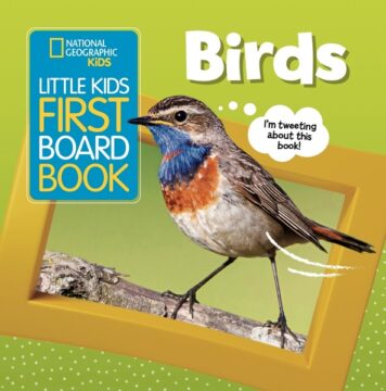 Little Kids First Board Book: Birds by Ruth A. Musgrave - National ...