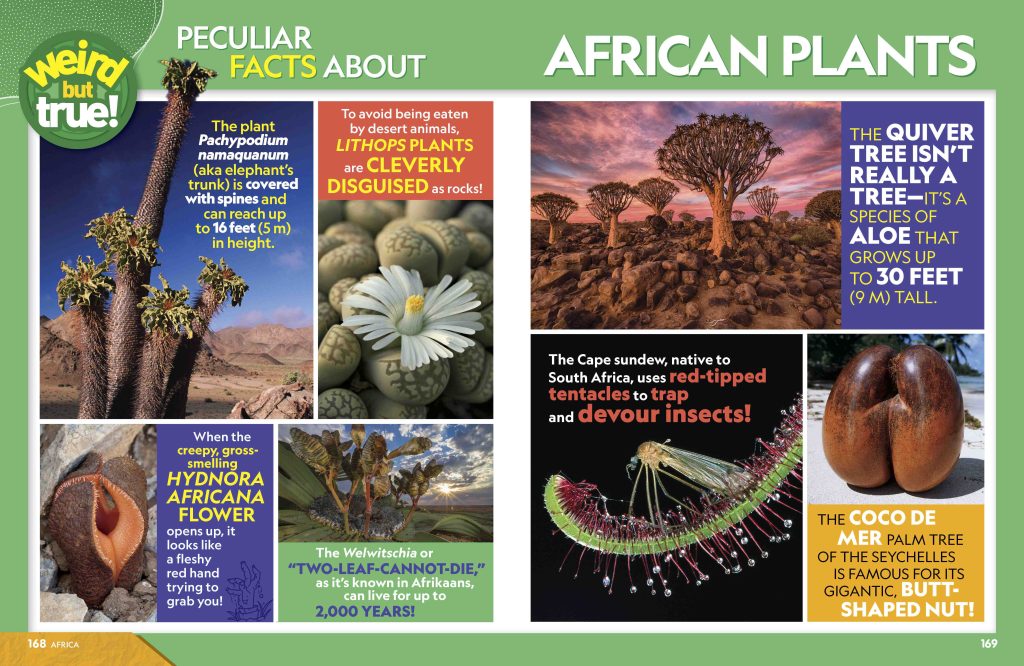 Weird But True World 2024 by National Geographic Kids - National ...