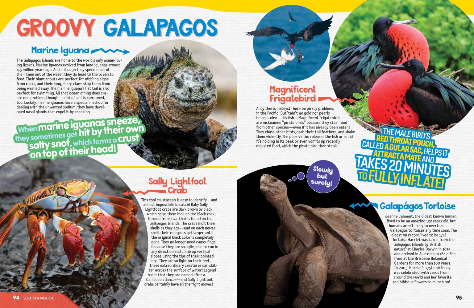 Weird But True World 2024 by National Geographic Kids - National ...