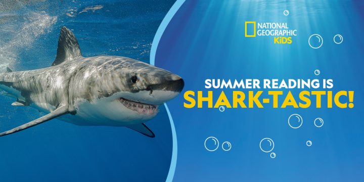 SharkFest - Disney Books | Disney Publishing Worldwide