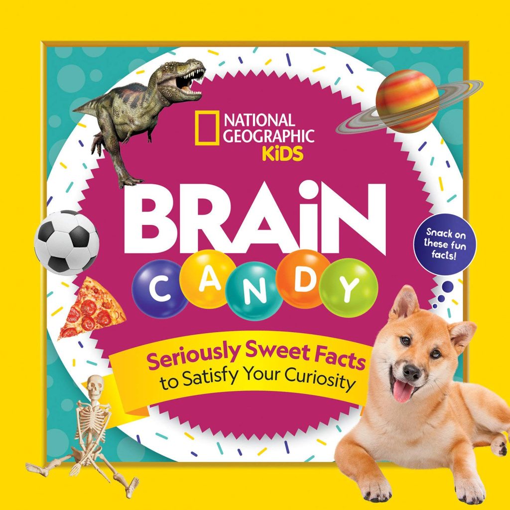 Brain Candy: 500 Sweet Facts to Satisfy Your Curiosity by Julie Beer ...