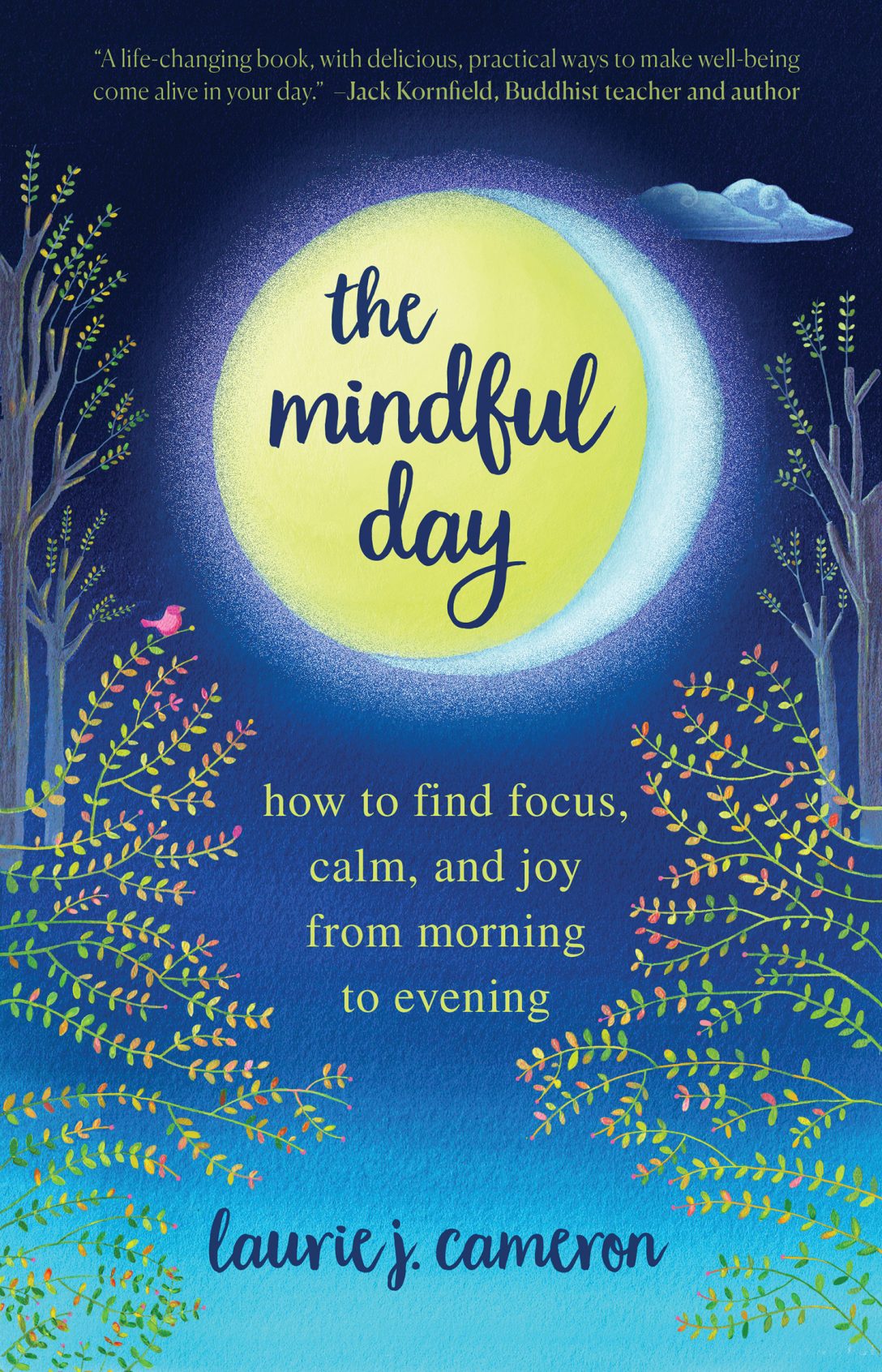 The Mindful Day by Laurie J. Cameron - National Geographic Books