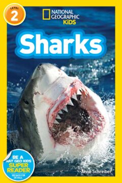 National Geographic Readers: Sharks! by Anne Scheiber - National ...